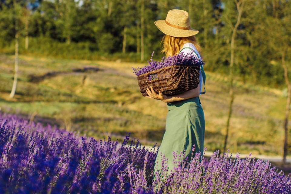 Farm-Sourced® Skin Care – Benedetta Skin Care