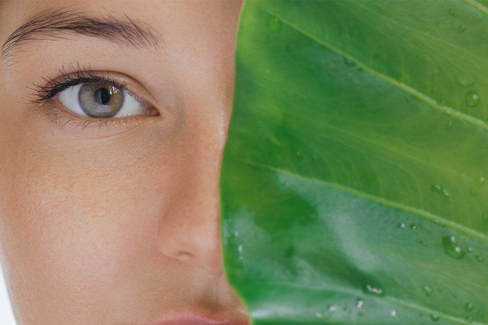 The Layering "Eye' Effect – Benedetta Skin Care